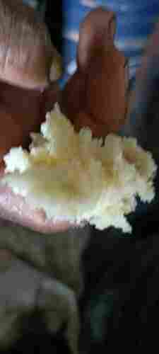 Natural Buffalo Tallow at Best Price in Malegaon, Maharashtra | Affan ...