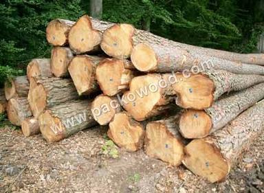 Pine Wood Manufacturers, Suppliers, Dealers & Prices