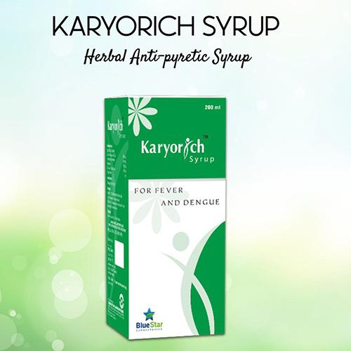 Karyorich Anti-Pyretic Syrup at Best Price in Sonipat, Haryana | Blue ...