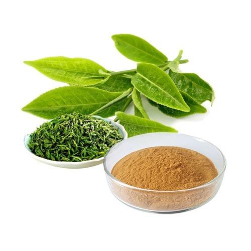 Boswellia Serrata 30 Akba Extract at Best Price in Kotdwara | Himalayan ...