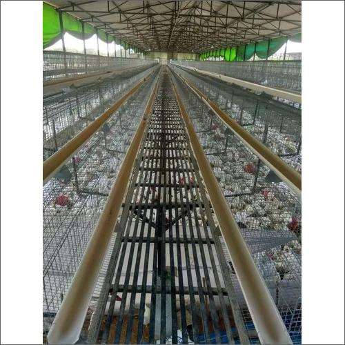 Gray Gi Wire Layer Egg Poultry Cage at Best Price in Mohali | V-Tech ...