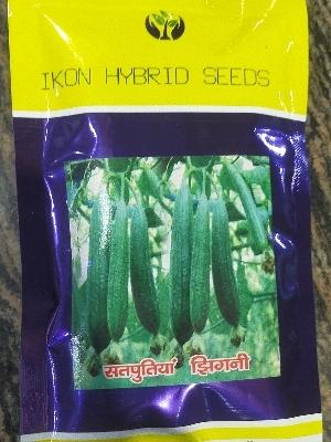 Ridge Gourd Seeds at Best Price in Ayodhya, Uttar Pradesh | Ashok Seeds ...