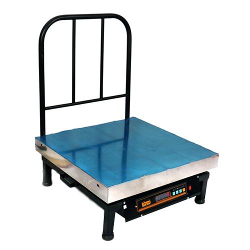 Blue Chicken Platform Weighing Scale at Best Price in Raipur | Savar ...