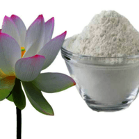 Lotus Flower Powder at Best Price in Salem, Tamil Nadu | Maduras Herbals