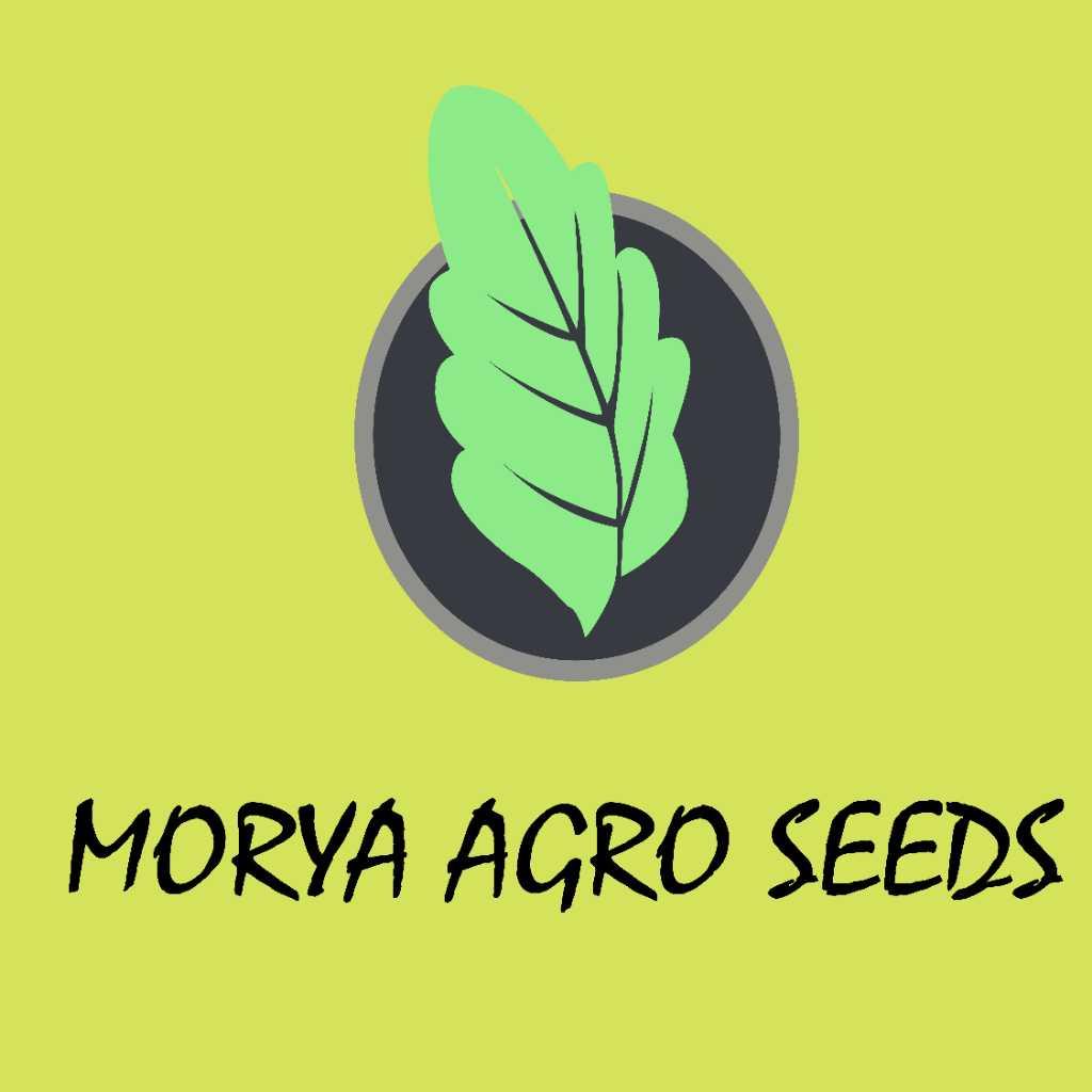 Rich Taste And Aroma Pure Cow Ghee at Best Price in Satara | Morya Agro ...