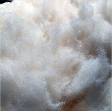 Man Made Waste Pure Cotton Comber Noil at Best Price in Satna | Jrj ...