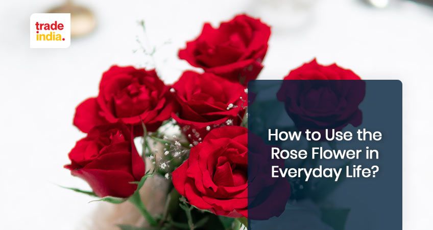 The Important Uses of Rose Flowers In Our Daily Lives