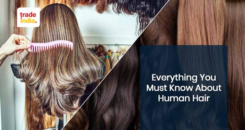 All You Need to Know About Human Hair