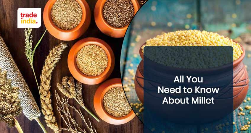 All You Need to Know About Millet