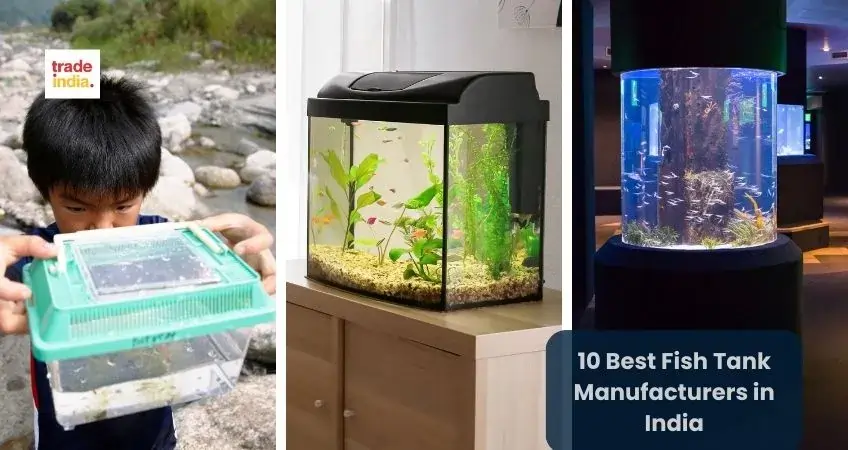 Top 10 Fish Tank Manufacturers in India