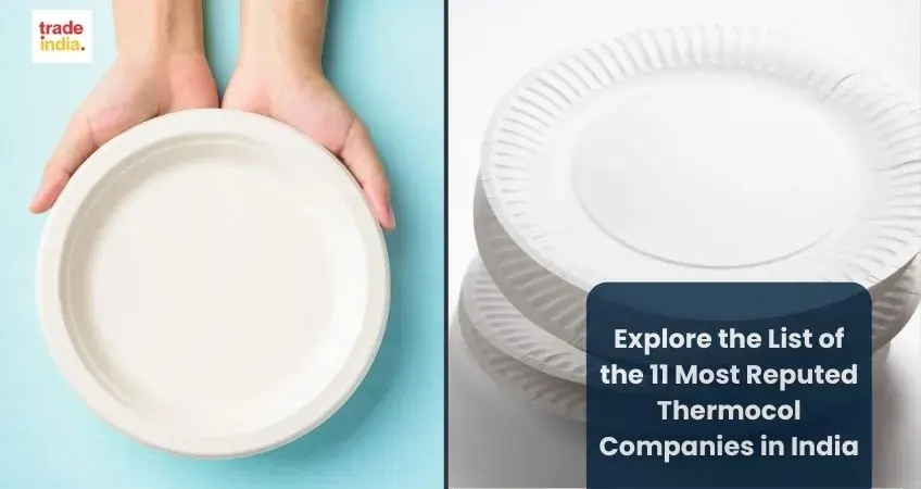 List of the 11 Most Reputed Thermocol Companies in India