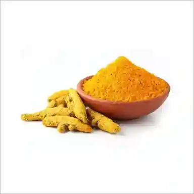 Best 11 Turmeric Powder Producing Brands in India