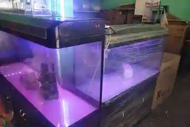 Top 10 Fish Tank Manufacturers in India