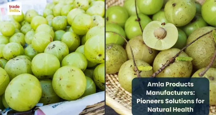 Amla Products Manufacturers: Pioneers Solutions for Natural Health