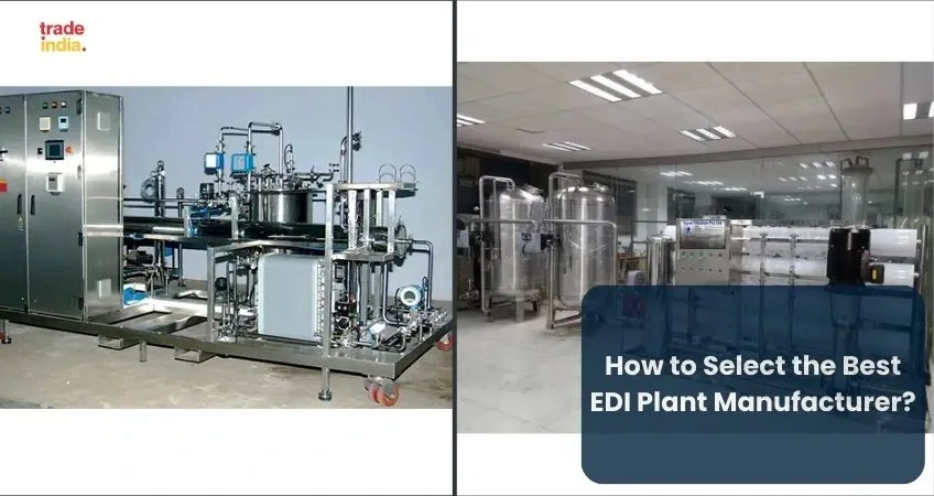 How to Select the Best EDI Plant Manufacturer | Expert Guide
