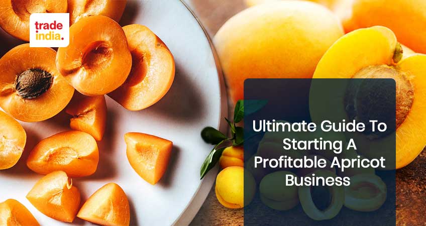Apricot Farming in India: A Guide