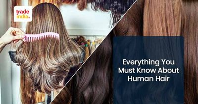 All You Need to Know About Human Hair