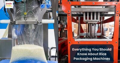 The Electric Stacker: A Backbone of Modern Warehousing and Logistics