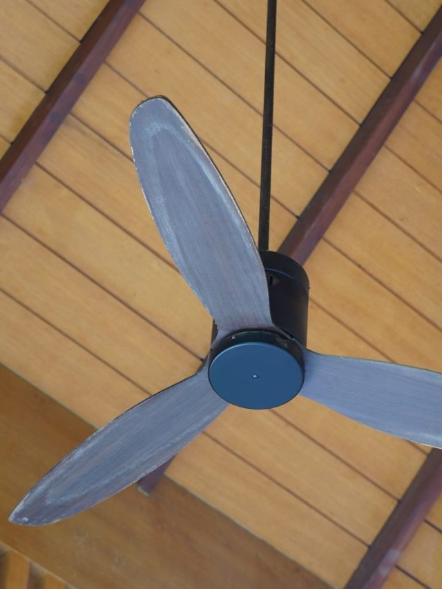 8 Different Types of Fans to Keep You Cool - Tradeindia Webstories