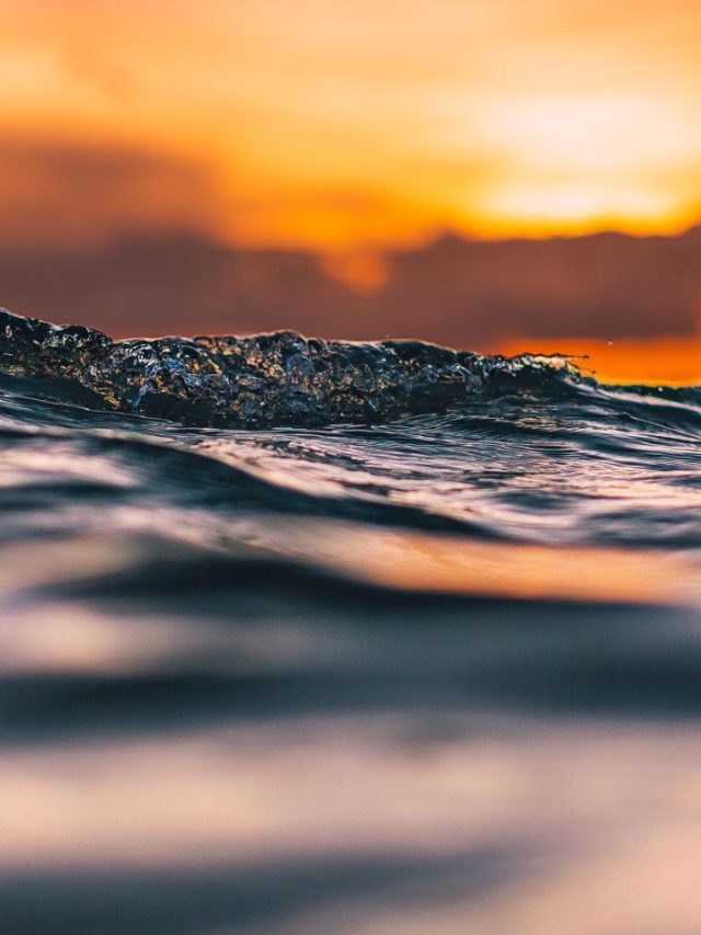 Popular wallpaper hd store