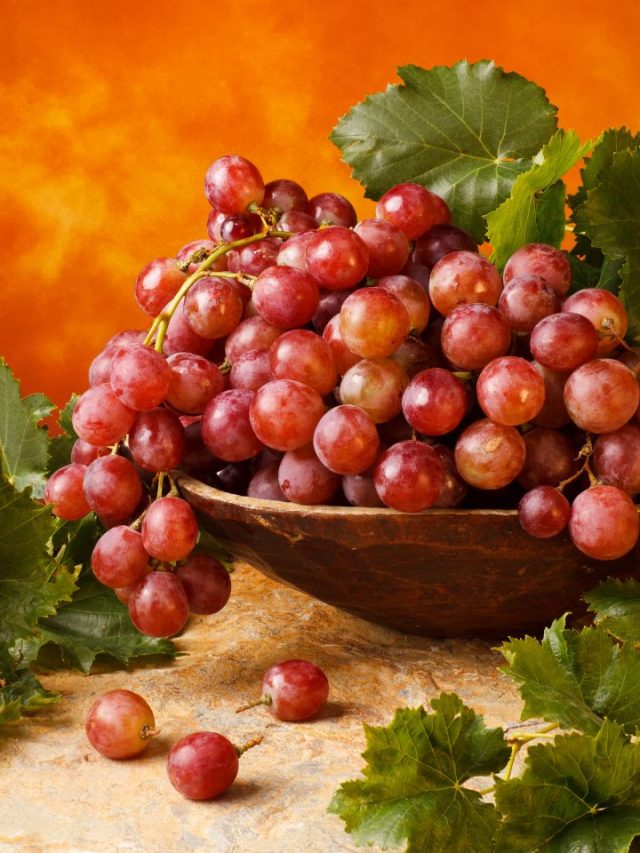 7 Red Fruits You Should Include To Your Diet - Tradeindia