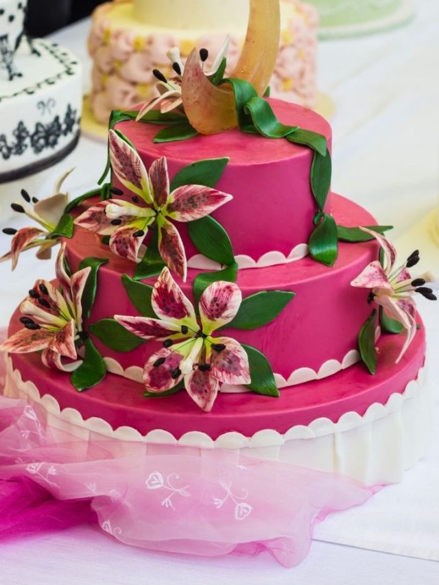 10 Unique Cake Designs for Birthday Celebration - Tradeindia