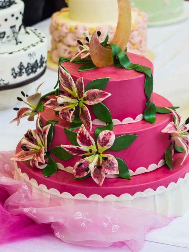 Best Cake Designs for Every Occasion - Tradeindia Webstories
