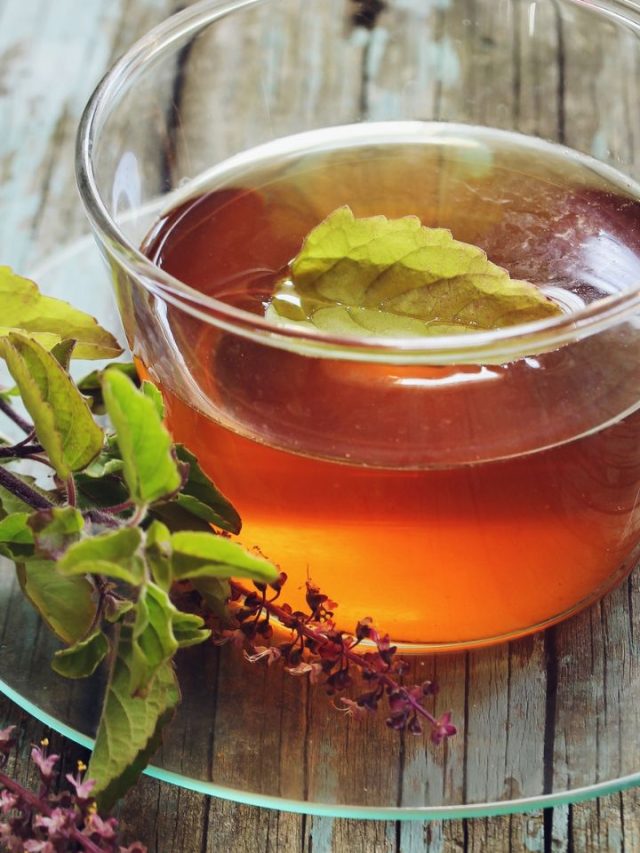 8 Different Types Of Tulsi Tea Varieties In India - Tradeindia