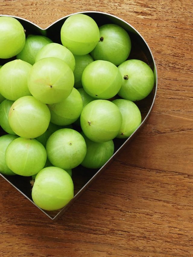 8 Surprising Benefits of Amla in Winter 2023 - Tradeindia Webstories