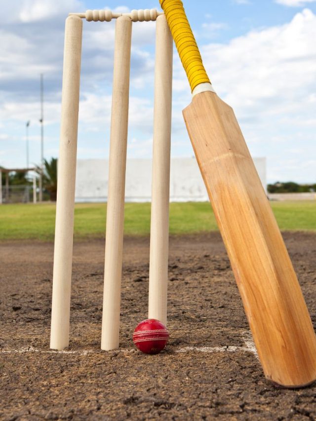 Best 8 Cricket Kits Equipment for Beginners & Pros - Tradeindia Webstories